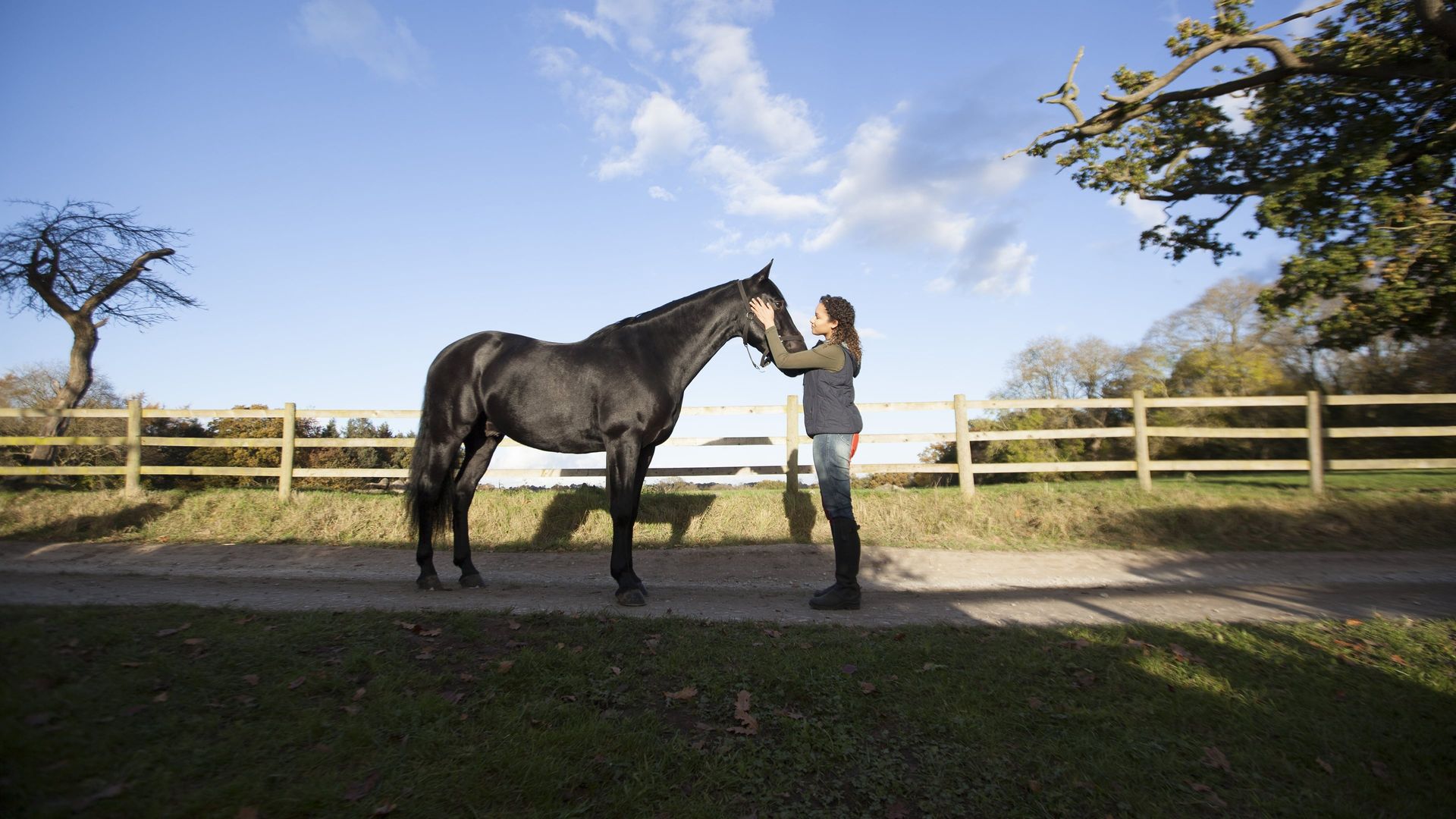 Free Rein - Watch Episodes on Netflix or Streaming Online | Reelgood