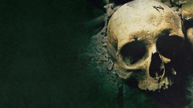 Netherworld Season 1: Where To Watch Every Episode | Reelgood