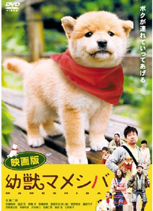 Mameshiba Cubbish Puppy: Where to Watch and Stream Online | Reelgood