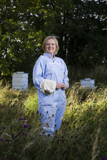 Wonder of Bees with Martha Kearney Season 1: Where To Watch Every ...