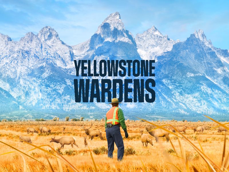 Yellowstone Wardens Season 6: Where To Watch Every Episode | Reelgood