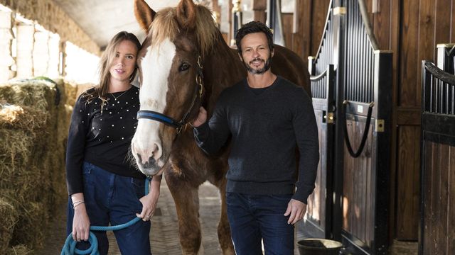 Dog Tales Rescue Season 1: Where To Watch Every Episode | Reelgood