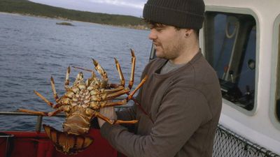 Giant Lobster Hunters: Where to Watch and Stream Online | Reelgood