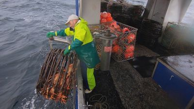 Giant Lobster Hunters: Where to Watch and Stream Online | Reelgood