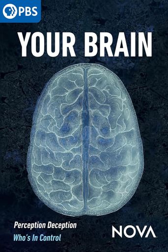 Your Brain: Where to Watch and Stream Online | Reelgood
