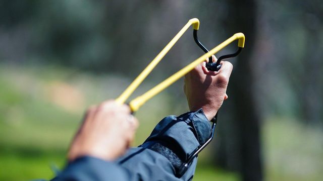 Backyard Ballistics Season 1: Where To Watch Every Episode | Reelgood