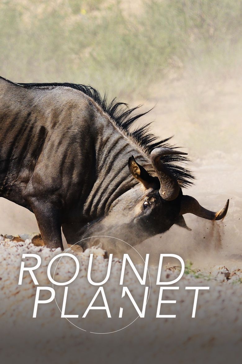 Round Planet - Watch Episodes on Discovery+ or Streaming Online | Reelgood