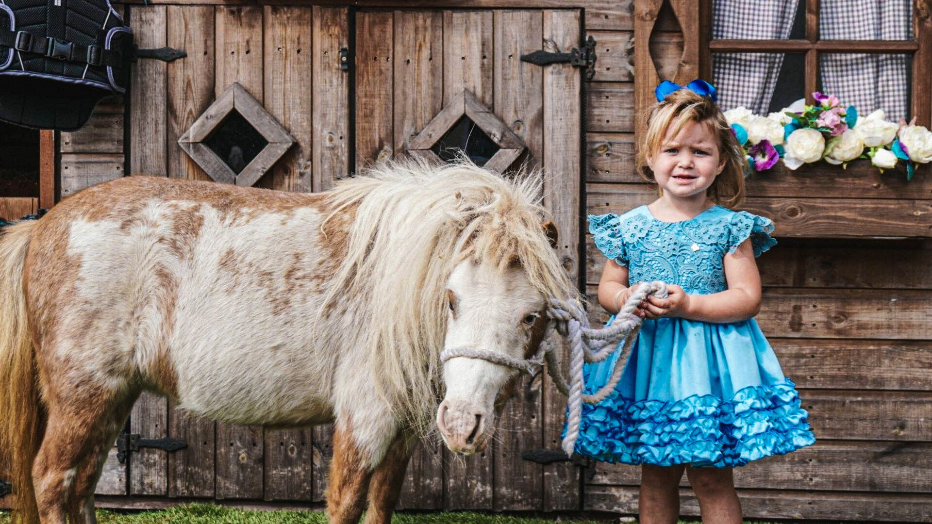 Here Come the Gypsies! - Where to Watch Every Episode Streaming Online ...