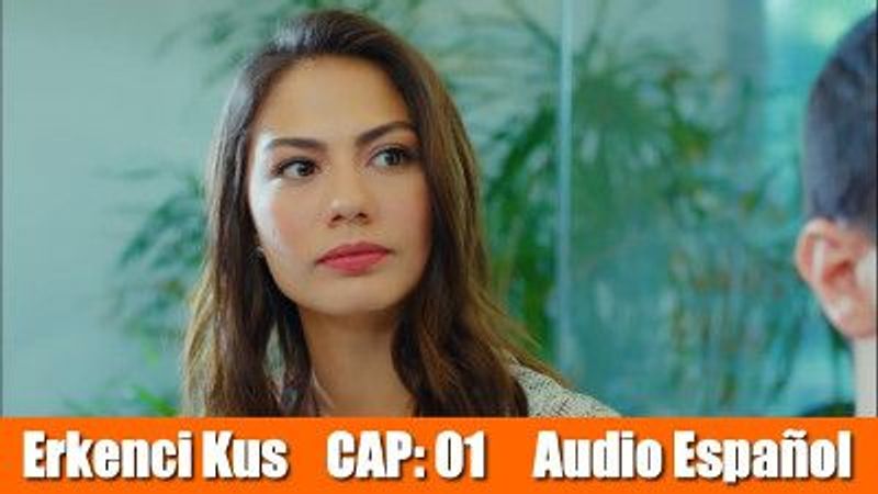 Daydreamer Season 1: Where To Watch Every Episode | Reelgood