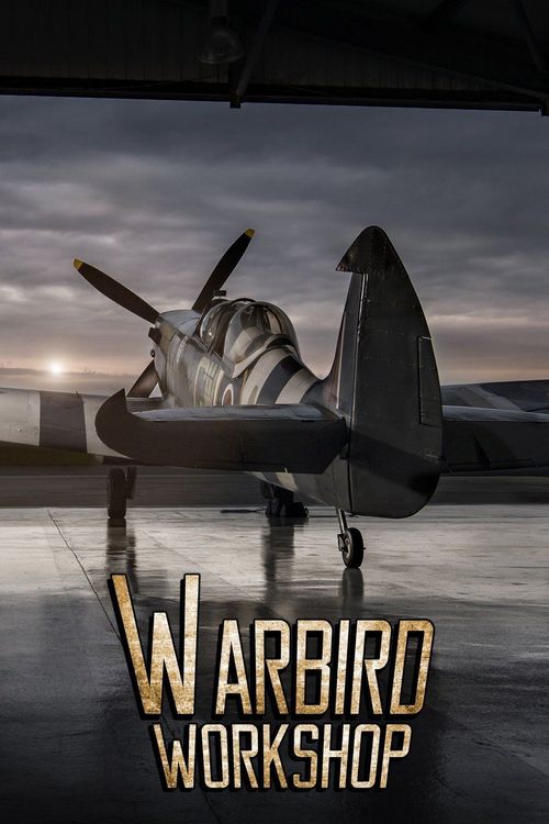 Warbird Workshop: User Lists | Reelgood