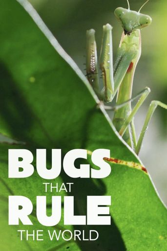 Bugs That Rule the World: Where to Watch and Stream Online | Reelgood