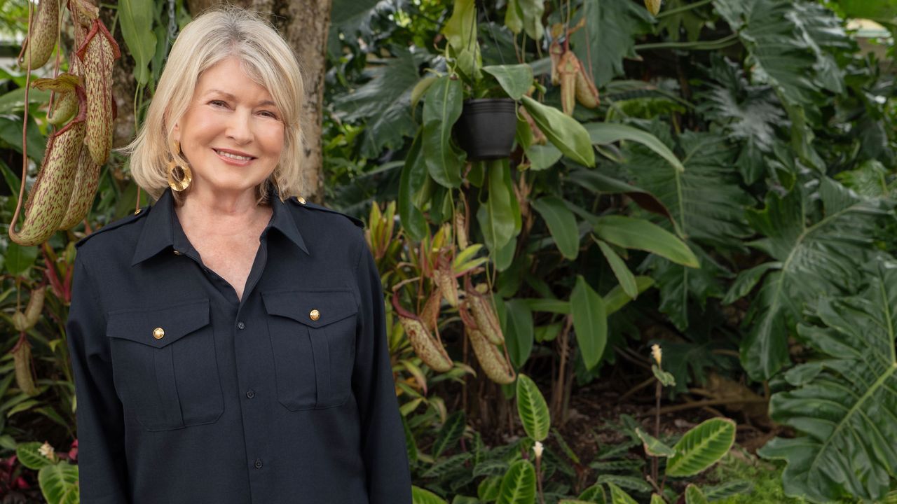 Martha Gardens: Where to Watch and Stream Online | Reelgood