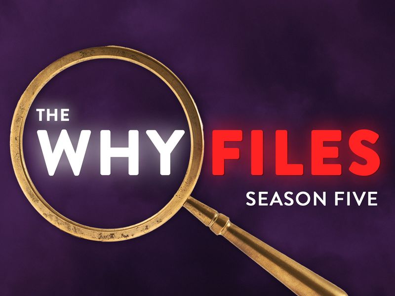 The Why Files Season 5: Where To Watch Every Episode | Reelgood