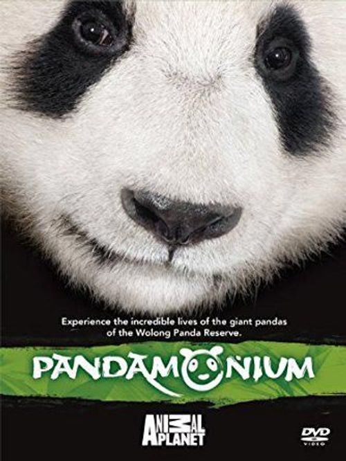 Pandamonium: User Lists | Reelgood