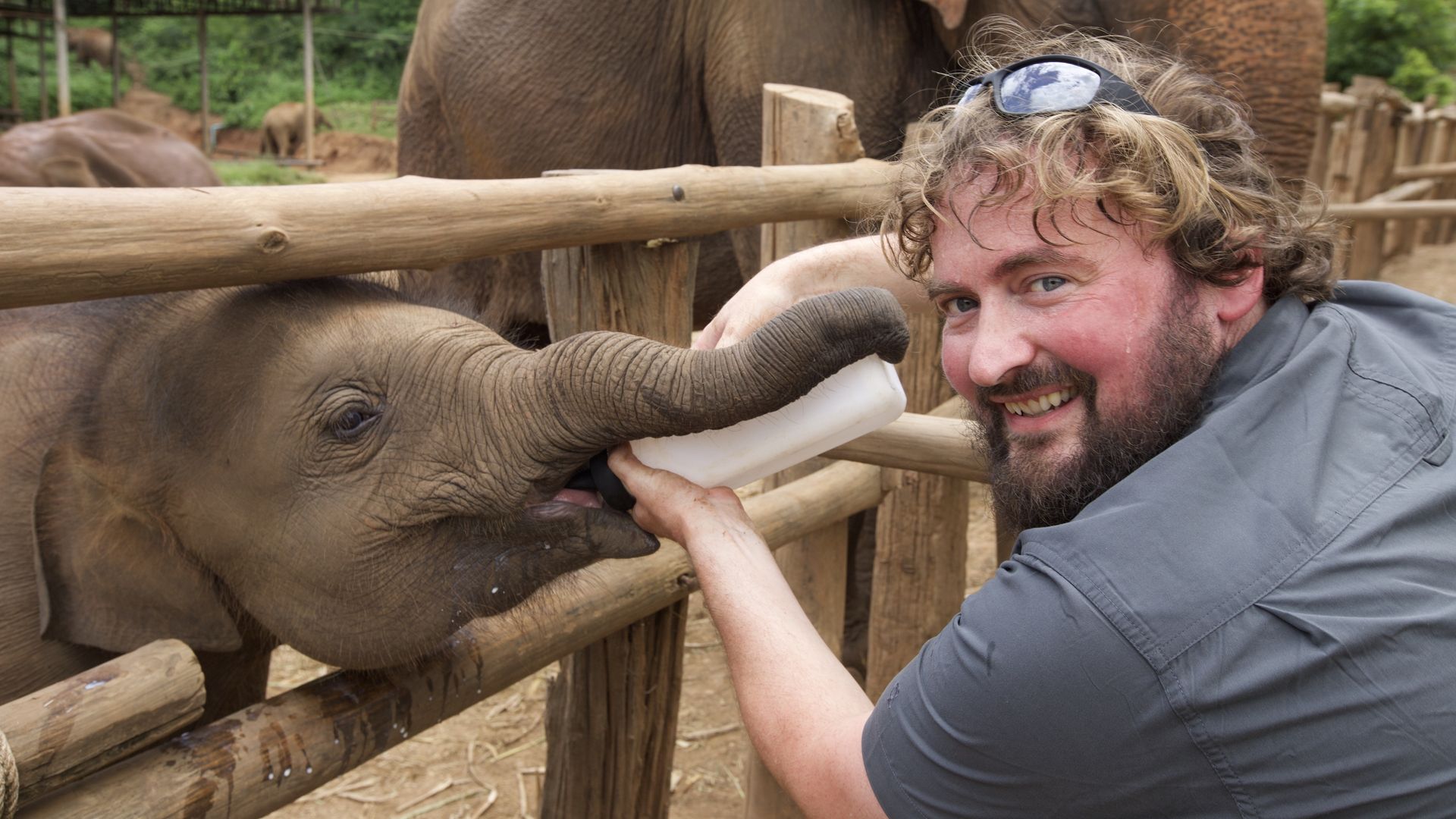 Elephant Hospital Season 2: Where To Watch Every Episode | Reelgood