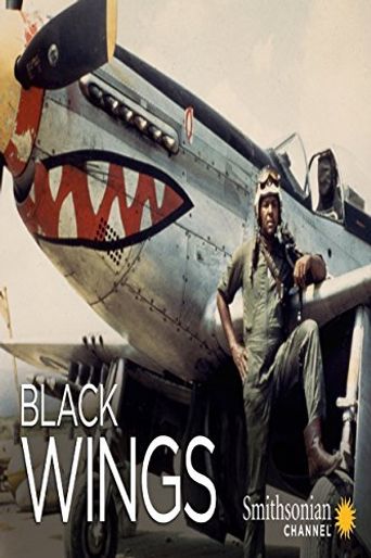 Black Wings: Where to Watch and Stream Online | Reelgood