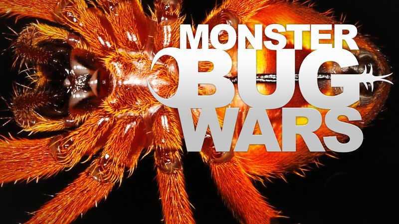 Monster Bug Wars!: Where to Watch and Stream Online | Reelgood