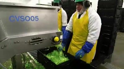 Food Factory: Where to Watch and Stream Online | Reelgood