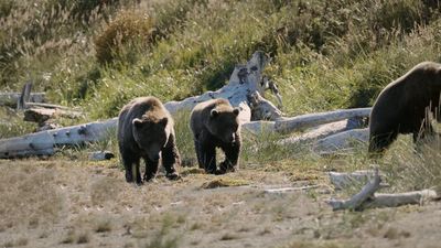 Intruders Season 1: Where To Watch Every Episode | Reelgood