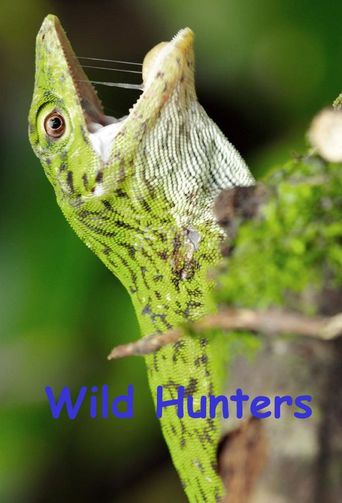 Wild Hunters: Where to Watch and Stream Online | Reelgood