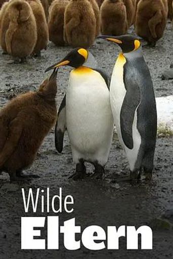 Parents in the Wild: Where to Watch and Stream Online | Reelgood