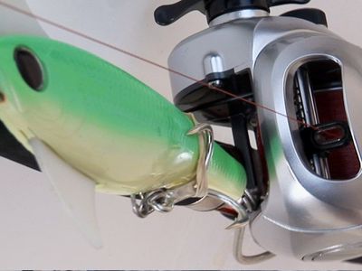 Inside Sportfishing: Below the Border Season 1: Where To Watch Every ...