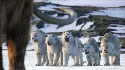 Life on Our Planet: Where to Watch and Stream Online | Reelgood