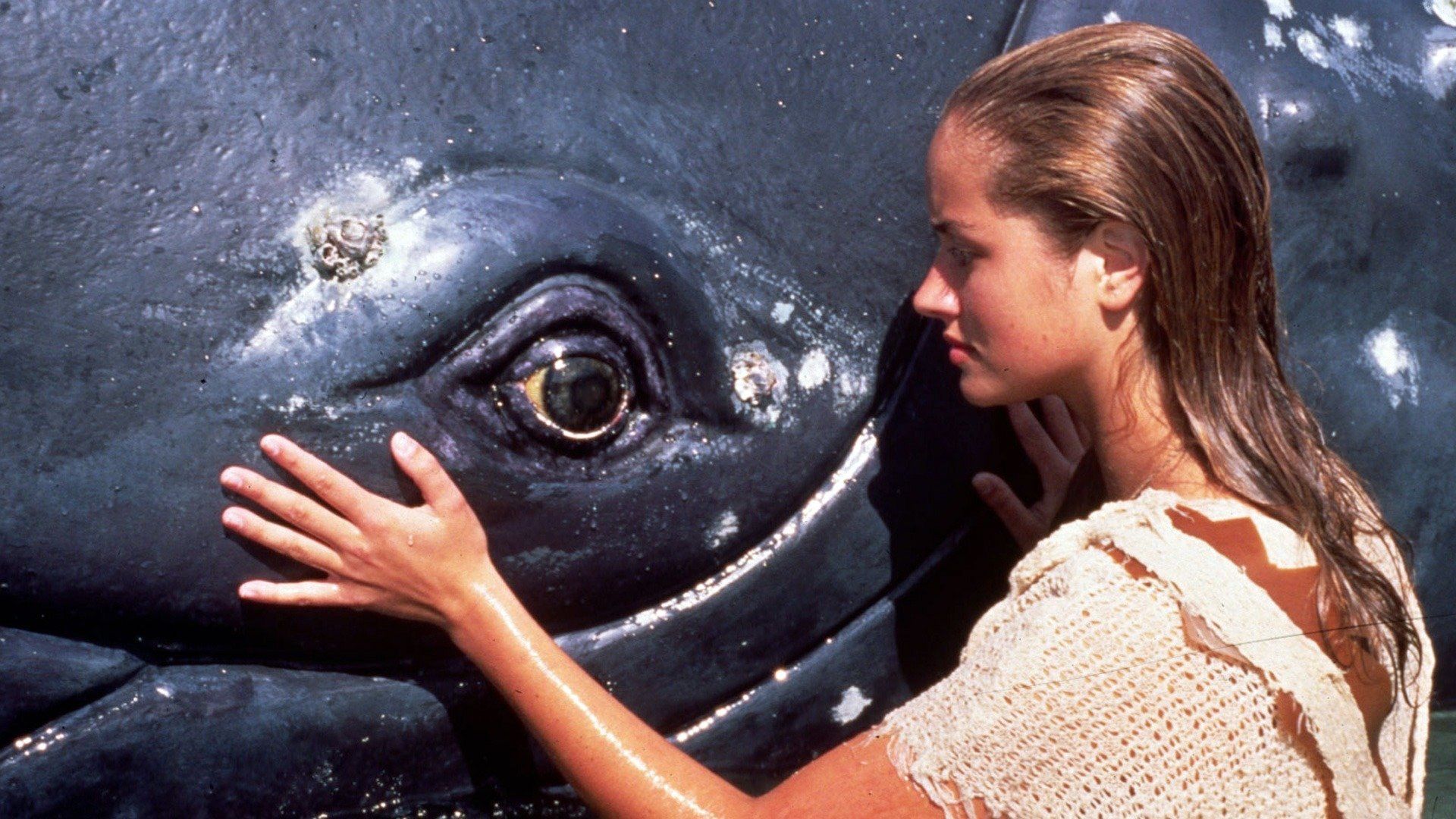 Ocean Girl - Where to Watch Every Episode Streaming Online Available in ...