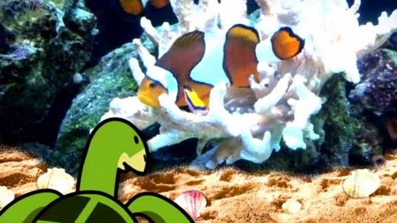 Go Eco Season 1: Where To Watch Every Episode | Reelgood