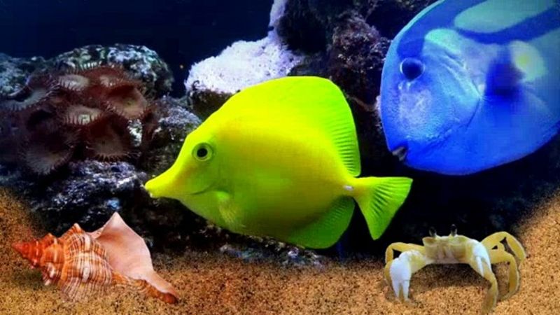 Go Eco Season 1: Where To Watch Every Episode | Reelgood