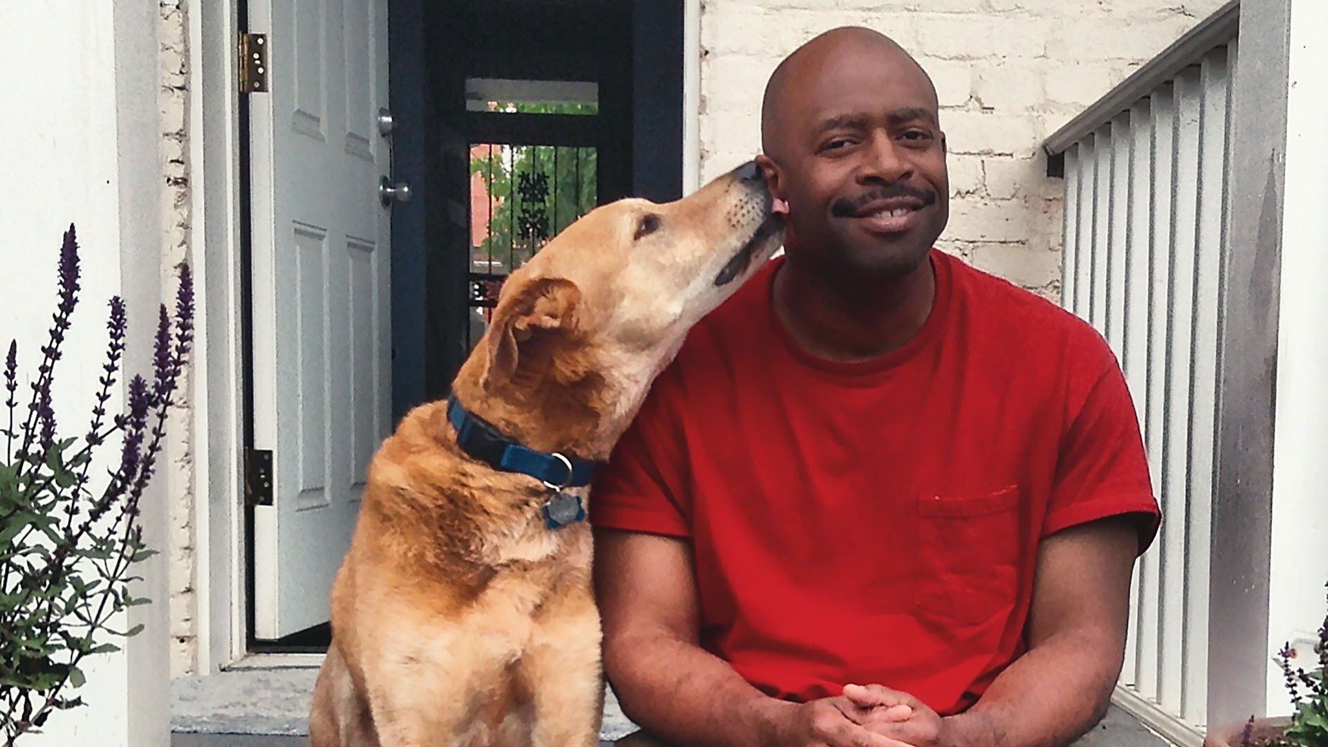 Dogs - Watch Episodes on Netflix or Streaming Online | Reelgood