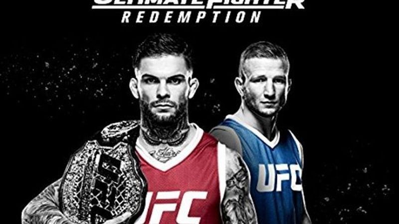 The Ultimate Fighter: Where to Watch and Stream Online | Reelgood