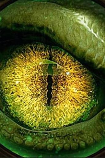 Monsterquest Specials: Where to Watch and Stream Online | Reelgood