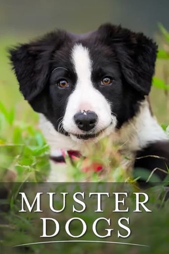 Muster Dogs: Where to Watch and Stream Online | Reelgood