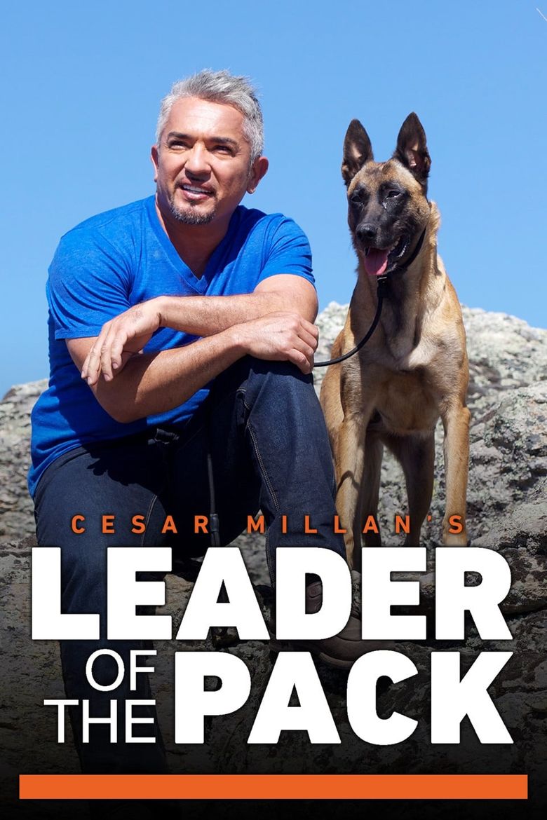 Cesar Millan's Leader of the Pack - Where to Watch Every Episode ...