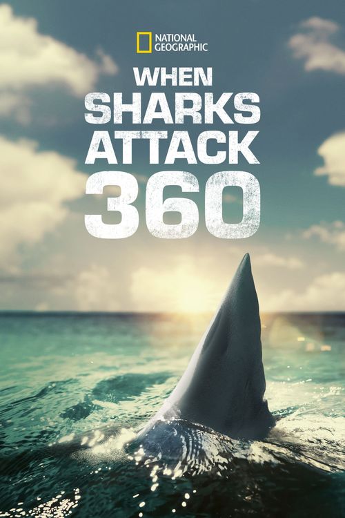 When Sharks Attack 360: Where to Watch and Stream Online | Reelgood