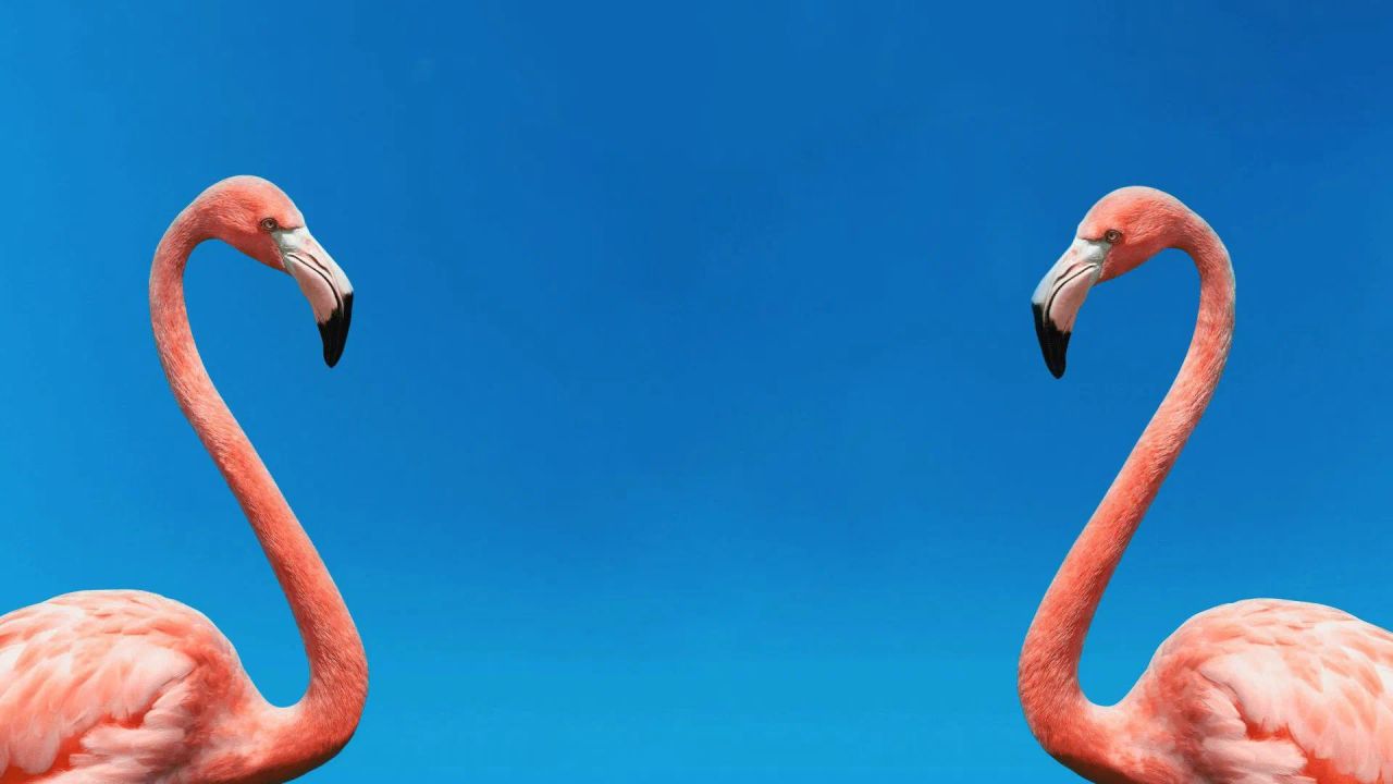 The Mating Game: Where to Watch and Stream Online | Reelgood