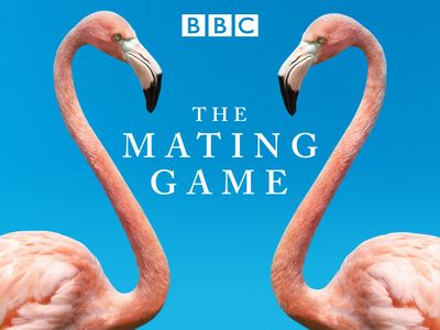 The Mating Game: Where to Watch and Stream Online | Reelgood