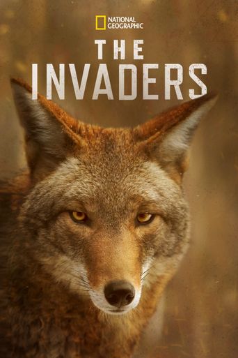 The Invaders Season 1: Where To Watch Every Episode | Reelgood