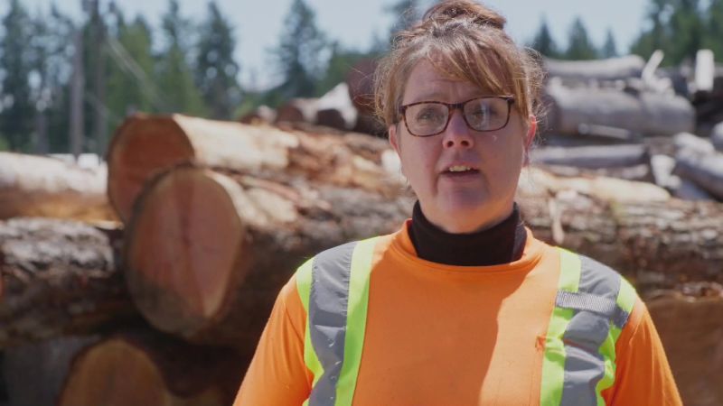Big Timber Season 3: Where To Watch Every Episode | Reelgood