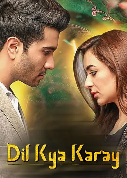 Dil Kya Karay: Where to Watch and Stream Online | Reelgood