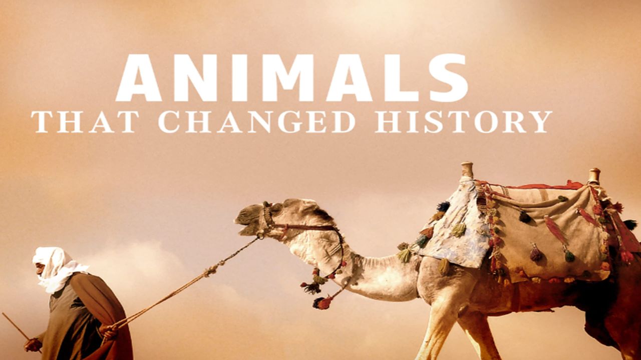 Animals that Changed History: Where to Watch and Stream Online | Reelgood