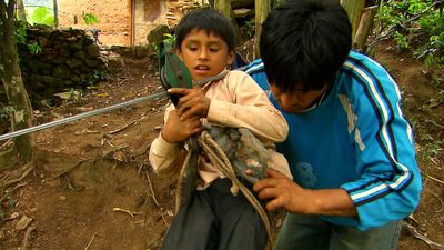 The Most Dangerous Ways to School: Where to Watch and Stream Online ...