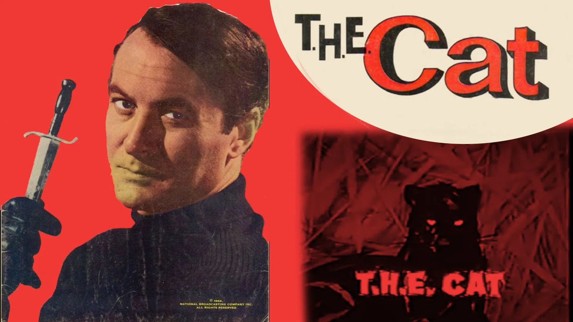 The CAT - Where to Watch Every Episode Streaming Online | Reelgood