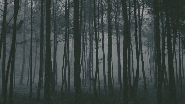 Lost Tapes Season 1: Where To Watch Every Episode | Reelgood