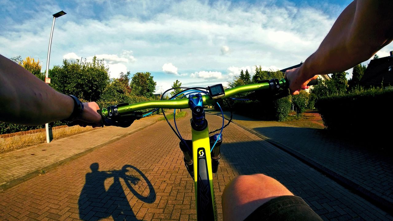 Whacked Out Sports Season 2: Where To Watch Every Episode | Reelgood